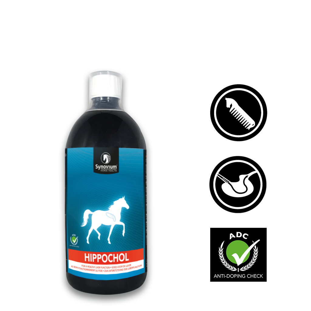 Synovium® Hippochol 1000 ml | Synovium.eu